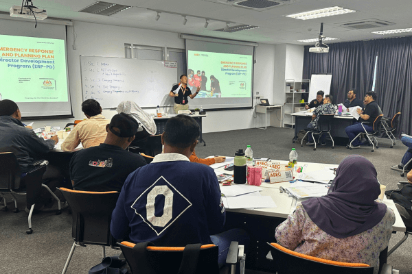 ERP - Plan Director Development Program